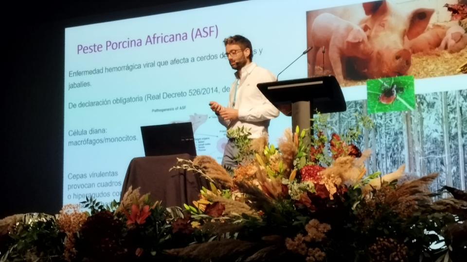 HIPRA presents ASF vaccine project ‘VAX4ASF’ at SEPOR | HIPRA